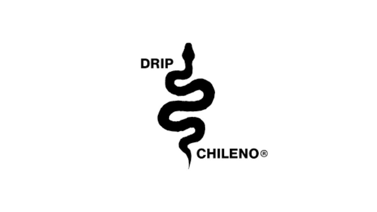 Jordan 4 • DripChileno.CL